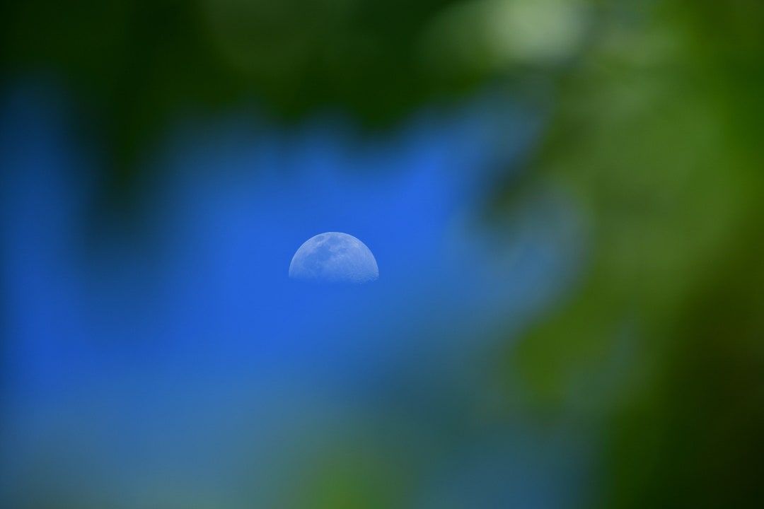 Spring Moon Landscape Photography Print, Acrylic, HD Metal or Canvas ...