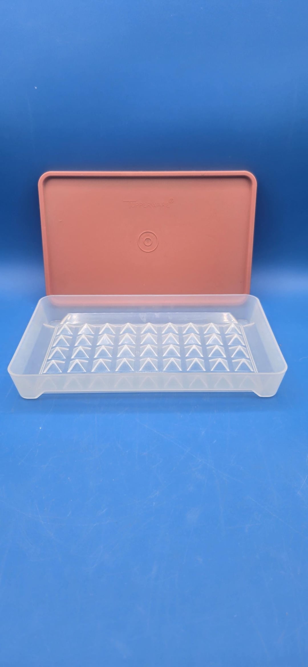 TUPPERWARE Hot Dog Sausage Keeper, Vintage Meat Marinade Container With ...