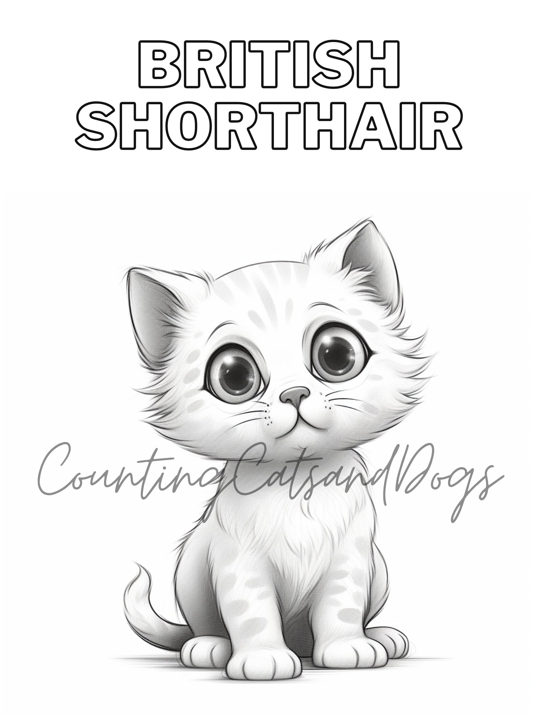 16 Cute Kittens Coloring Book Pages for Adults and Kids, Printable PDF ...