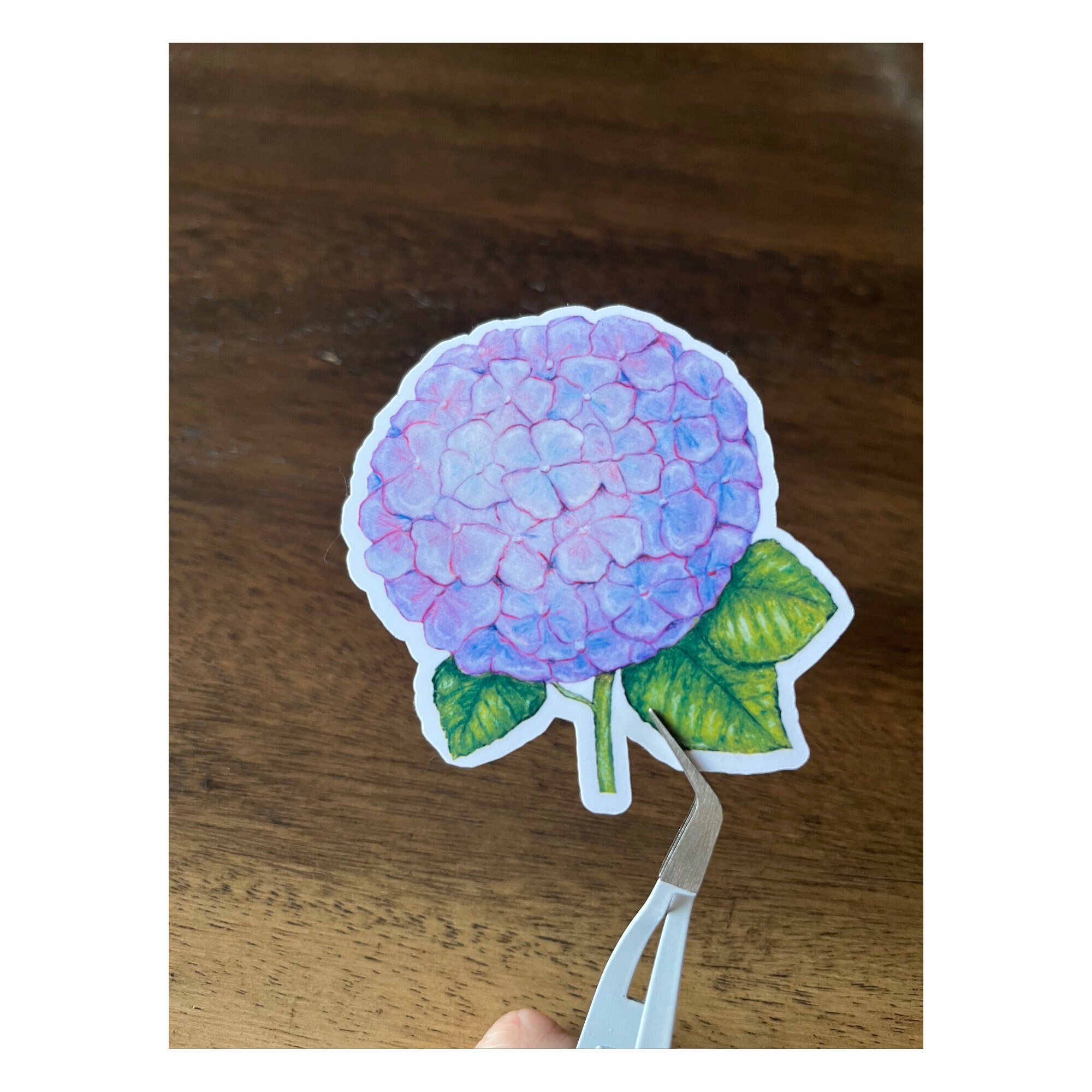 Hydrangea Sticker, Flower Sticker - Etsy