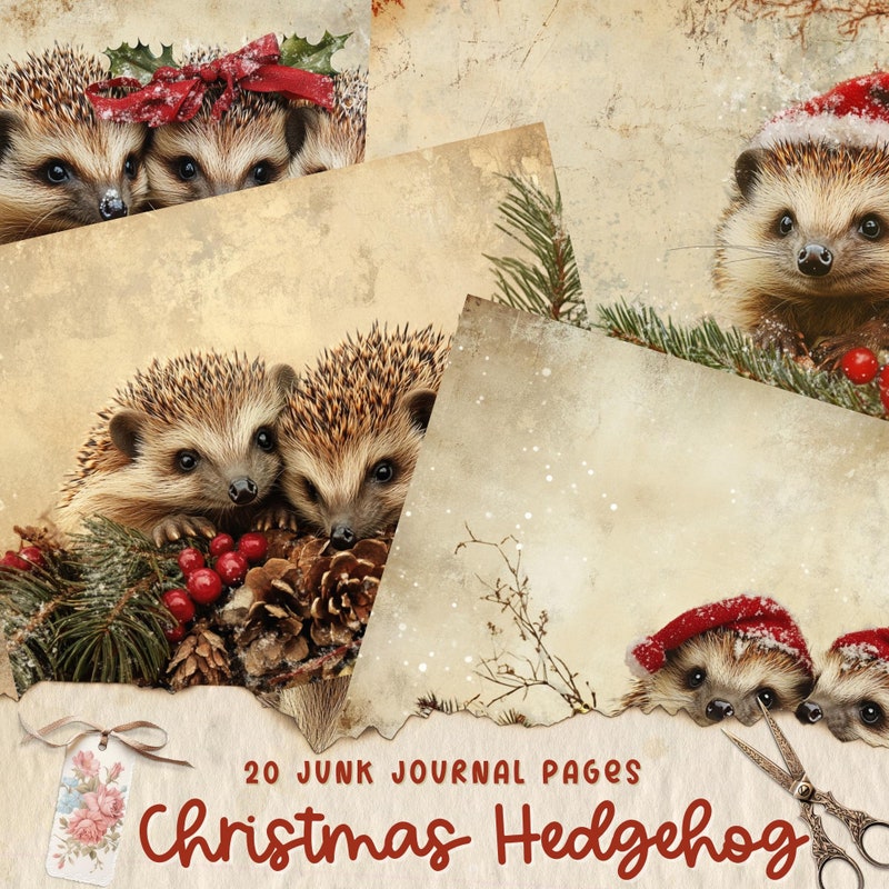 Hedgehog Journal - Etsy