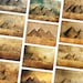 Egyptian Pyramid Junk Journal Pages, Ancient Egypt Printable Scrapbook ...