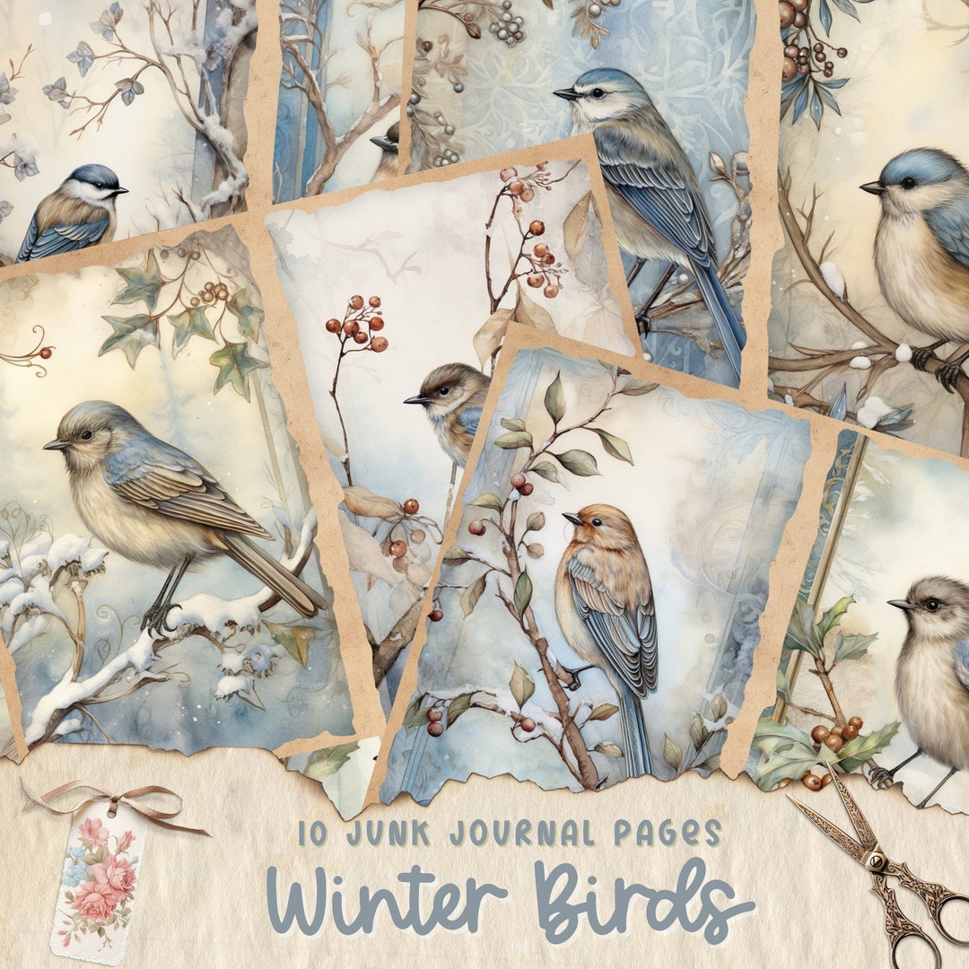 Bird Junk Journal Papers Kit, Avian Ephemera, Printable Download, Mixed ...