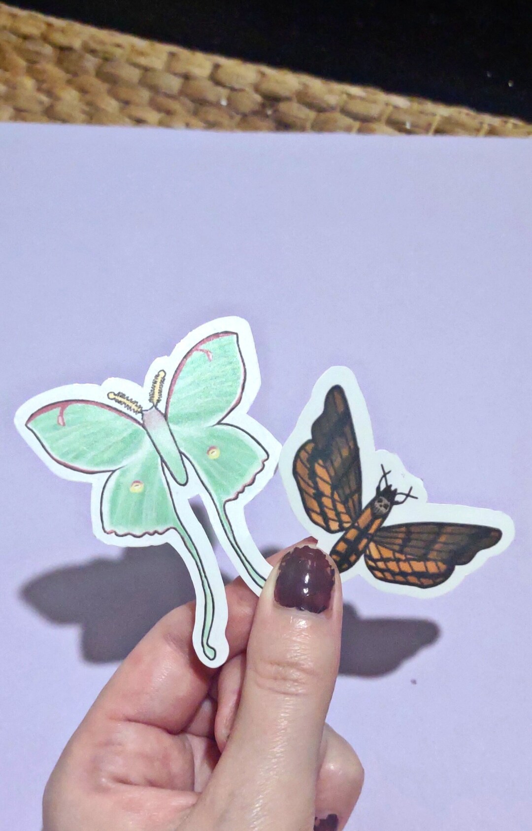 Moth Stickers Laminated 2 Stickers Insects Luna Moth Skull - Etsy
