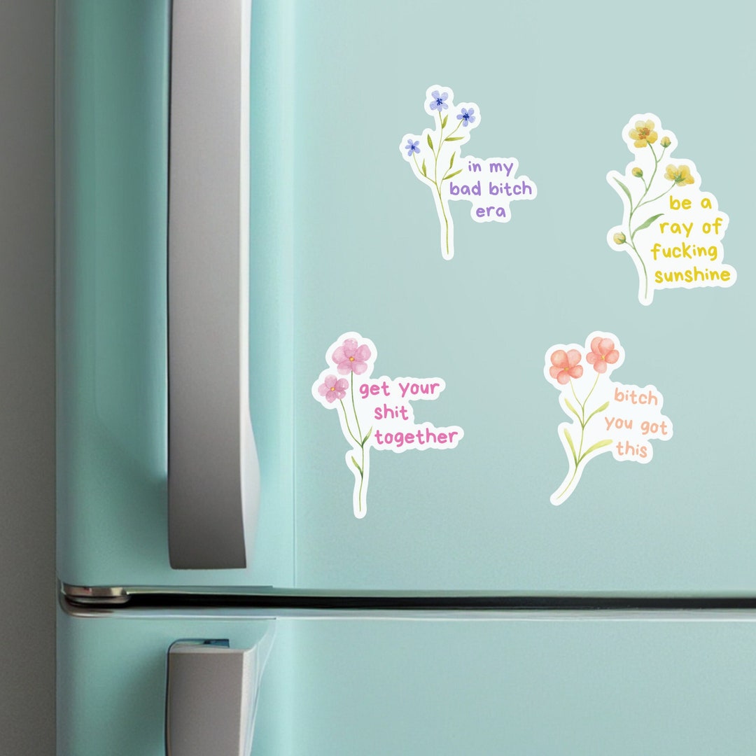 Sweary Affirmations Magnet Pack, Positive Affirmational Magnets Set of ...