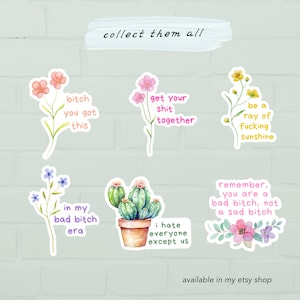 Sweary Affirmations Sticker Pack, Positive Affirmational Stickers Set ...
