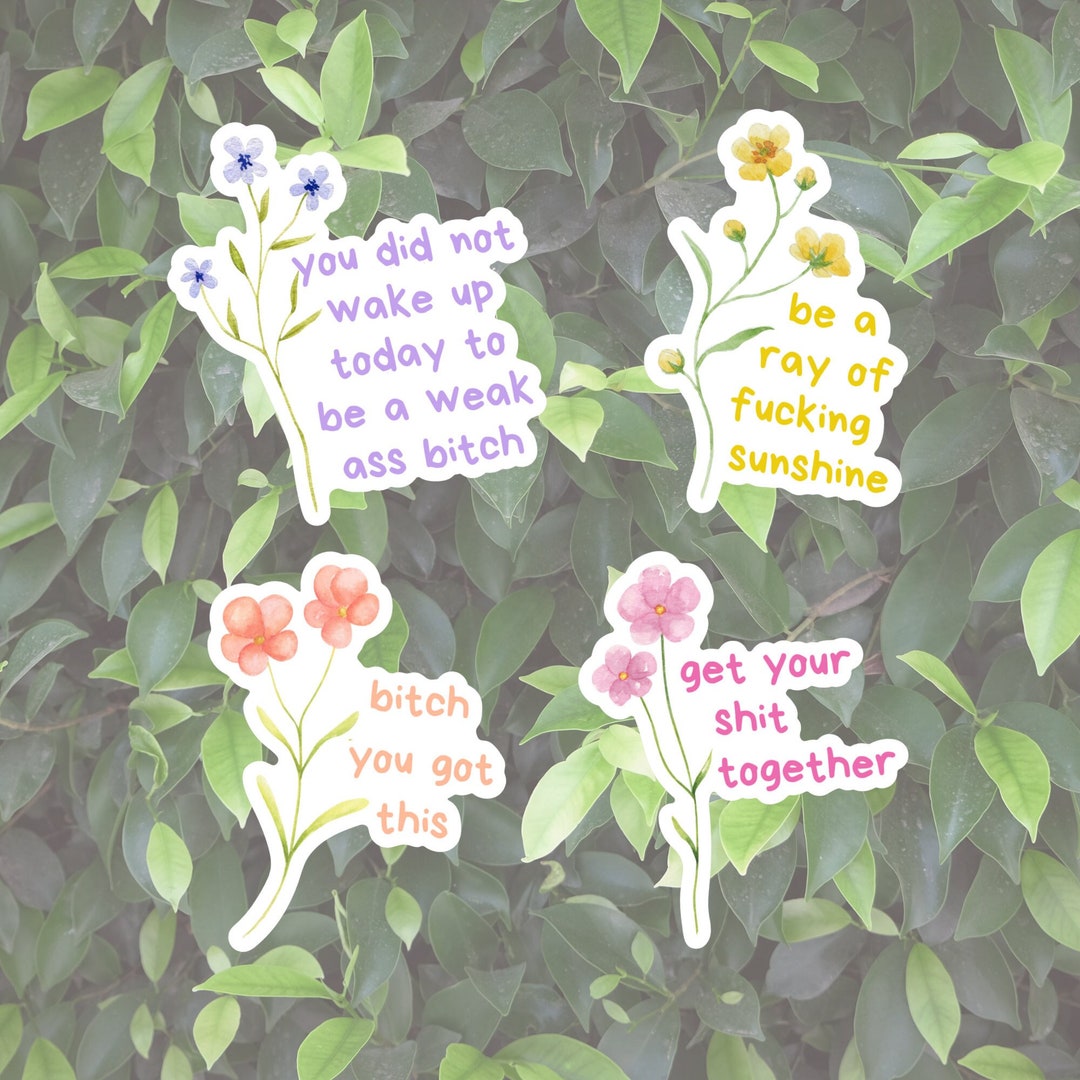 Sweary Affirmations Sticker Pack, Motivational Sticker Set of 4, Phone ...