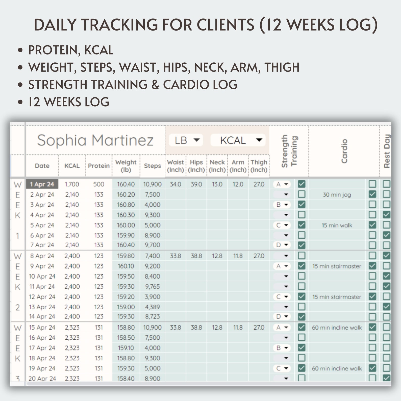 Fitness Coach Client Tracker: Training Program Spreadsheet (google ...