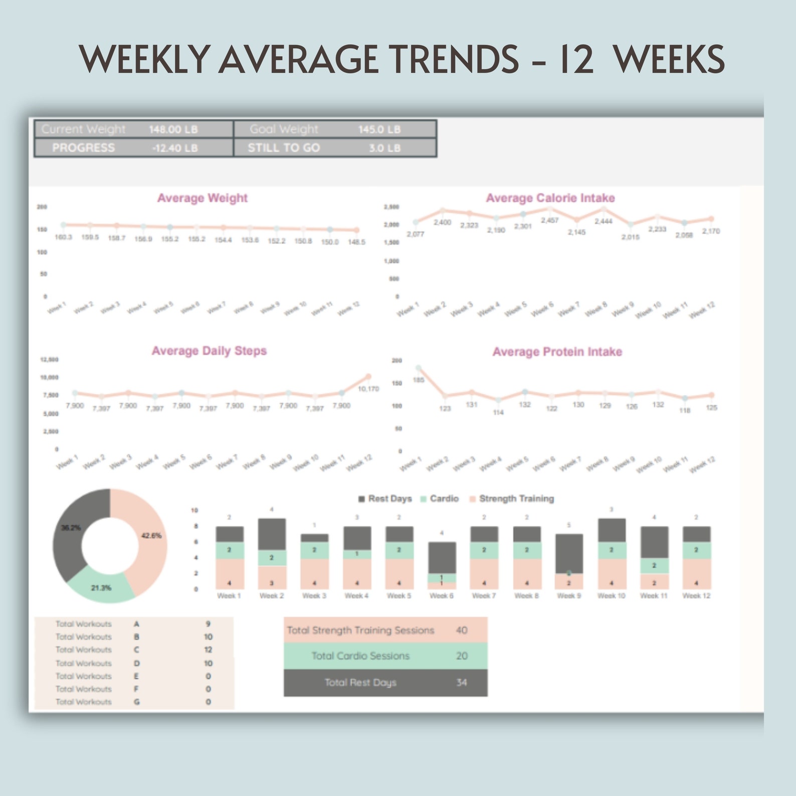 Fitness Coach Client Tracker: Training Program Spreadsheet (google ...