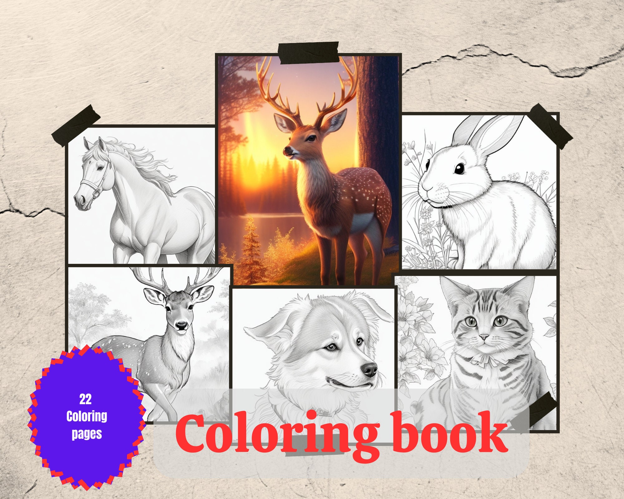 Digital Coloring Sheets Printable Colouring Books Coloring - Etsy