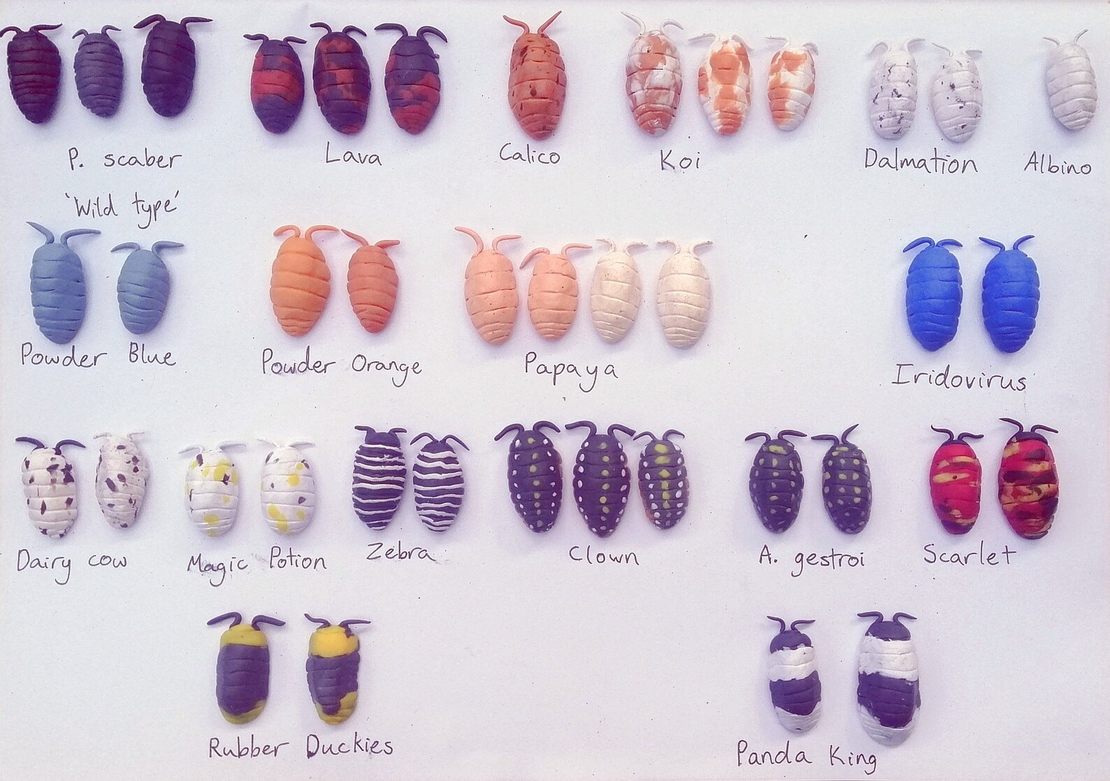 Clay Isopods - Etsy