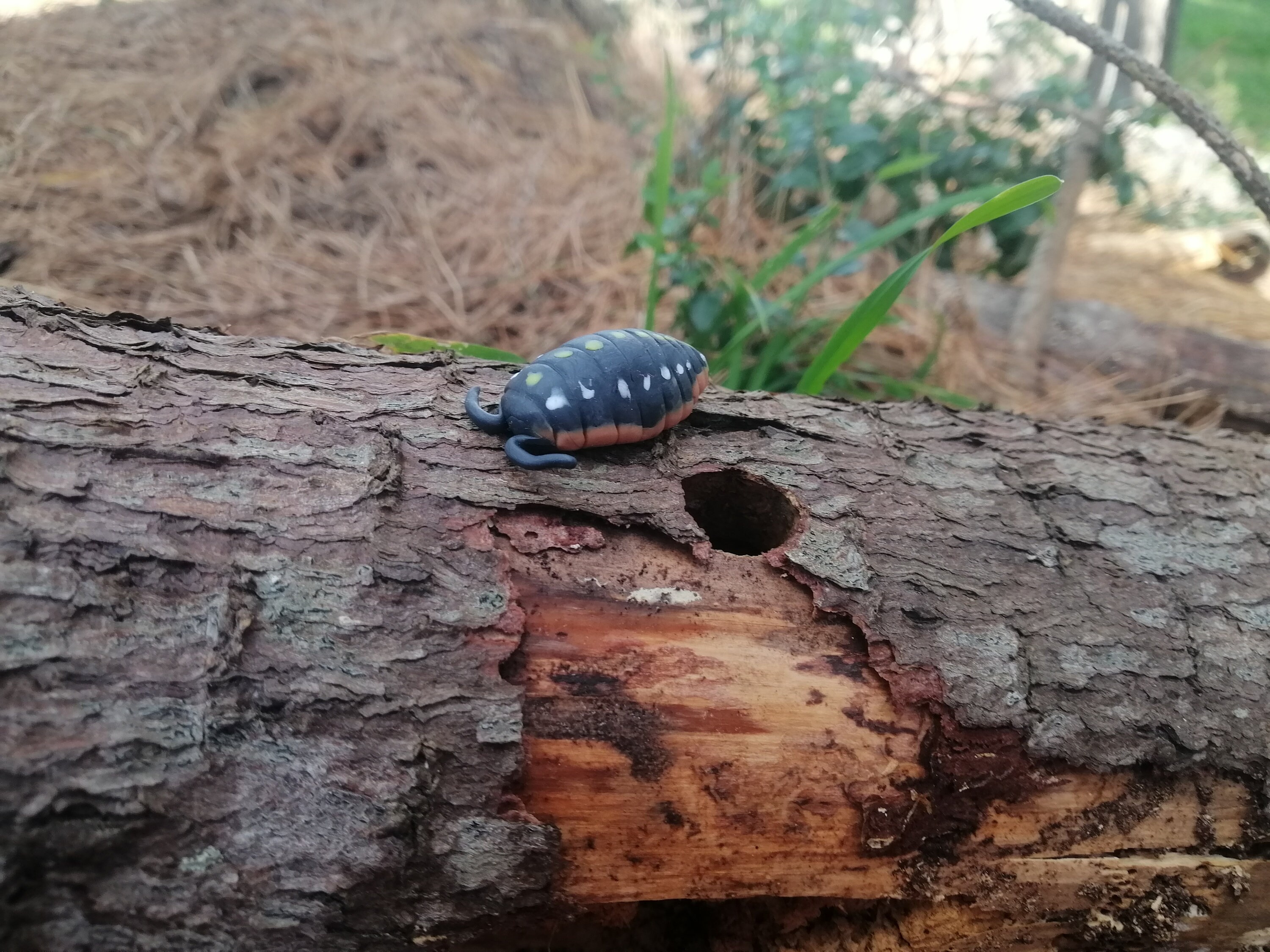 Clay Isopods - Etsy