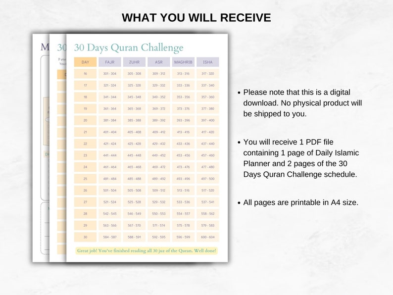 DAILY ISLAMIC PLANNER Printable, Quran Challenge Schedule, Muslim ...
