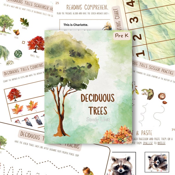 Prek Trees Unit - Etsy