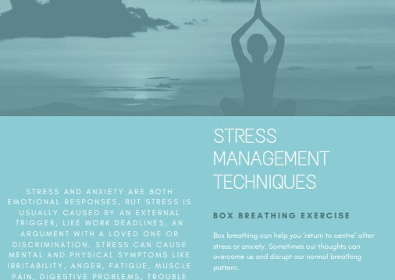 Managing Stress and Anxiety Pamphlet - Etsy