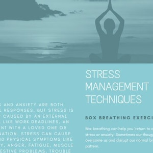 Managing Stress and Anxiety Pamphlet - Etsy