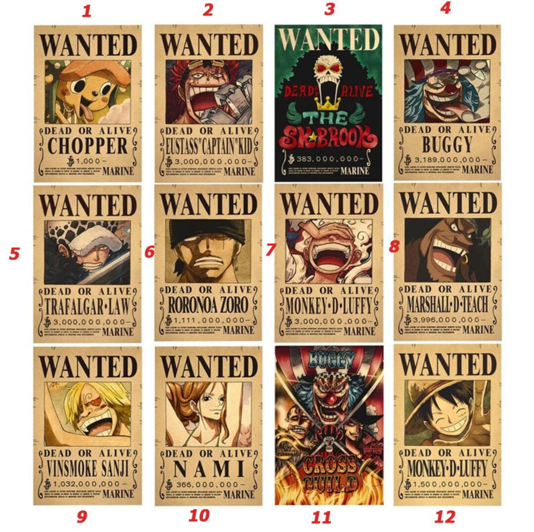 One Piece Anime Wanted Poster One Piece Vintage Poster Gift - Etsy.de