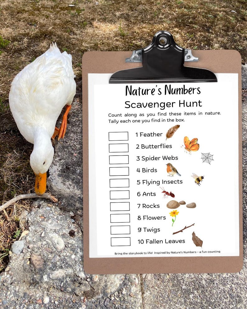 Nature's Numbers Scavenger Hunt - Printable Outdoor Activity - Early ...