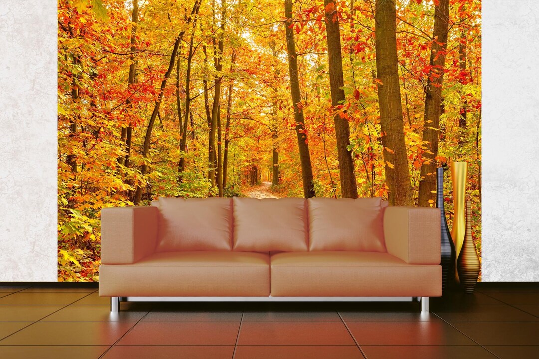 Wall Mural - Pathway in the Autumn Forest | Non Woven | Mysterious ...