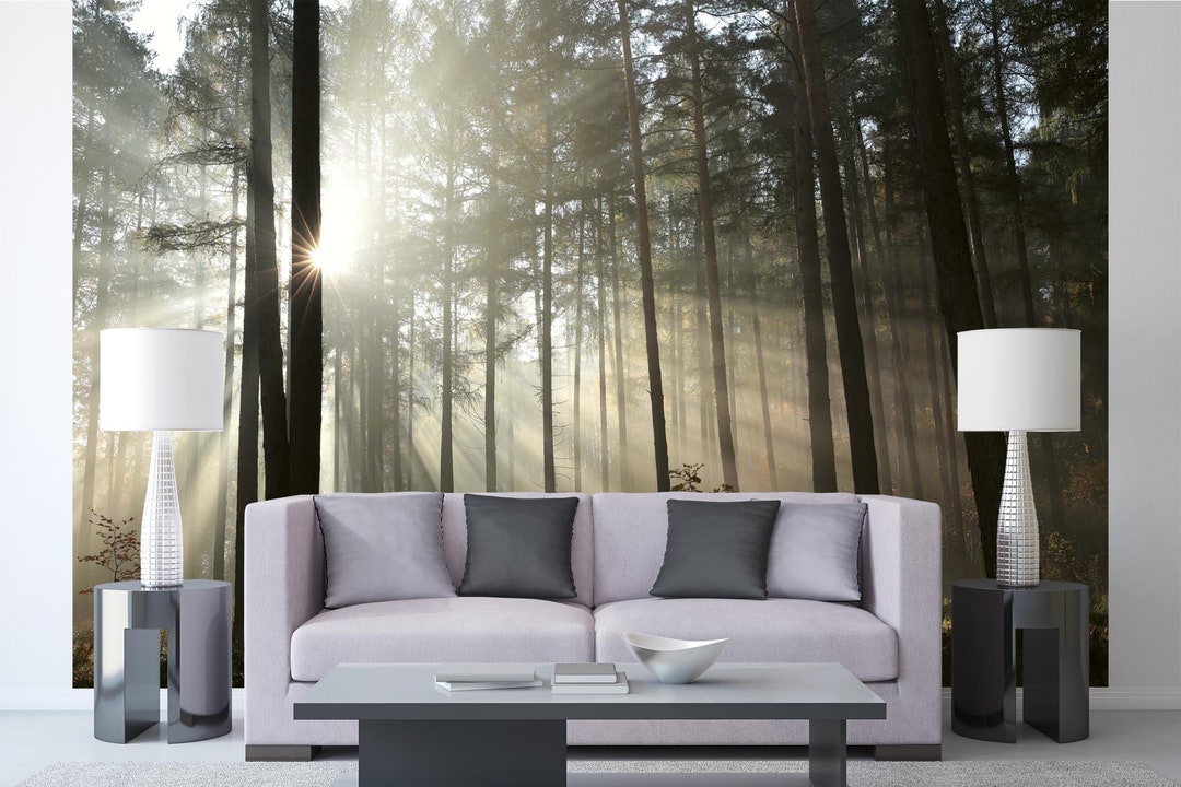 Wall Mural - Sunrays in Autumn Forest | Decoration | Non Woven ...