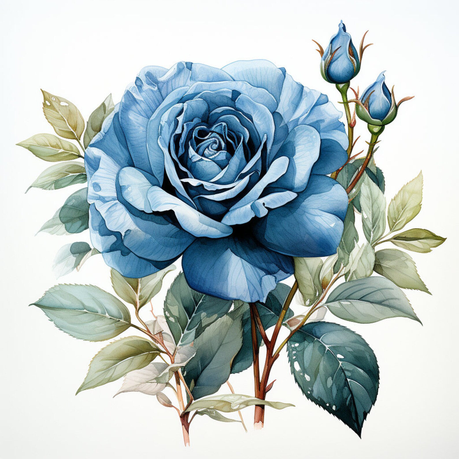 Colorful Rose Flowers Clip Art Bundle 20 High-quality PNG Files Instant ...