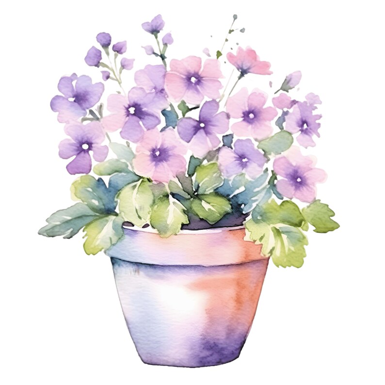 Flower Pot Watercolor Clip Art Bundle 20 High-quality PNG Files Instant ...