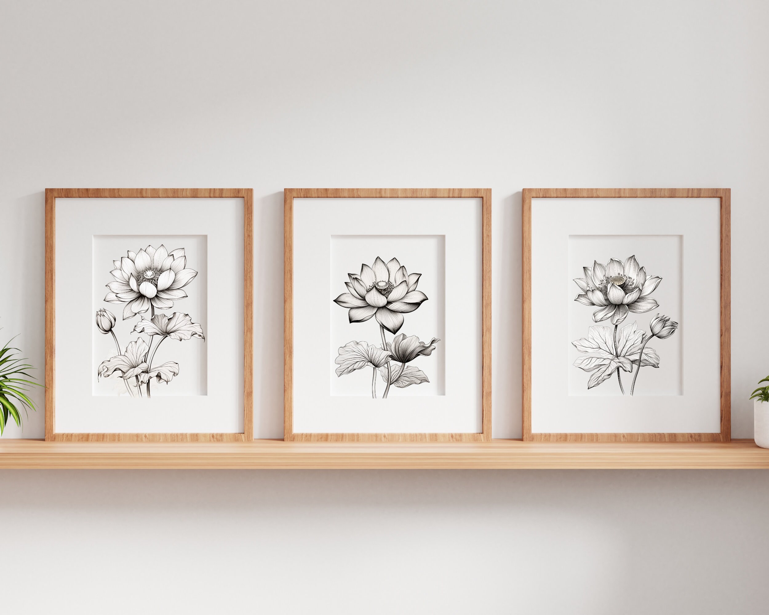 Lotus Flower Wall Art Set of 3 Lotus Sketch Prints Botanical Lotus ...