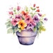 Flower Pot Watercolor Clip Art Bundle 20 High-quality PNG Files Instant ...
