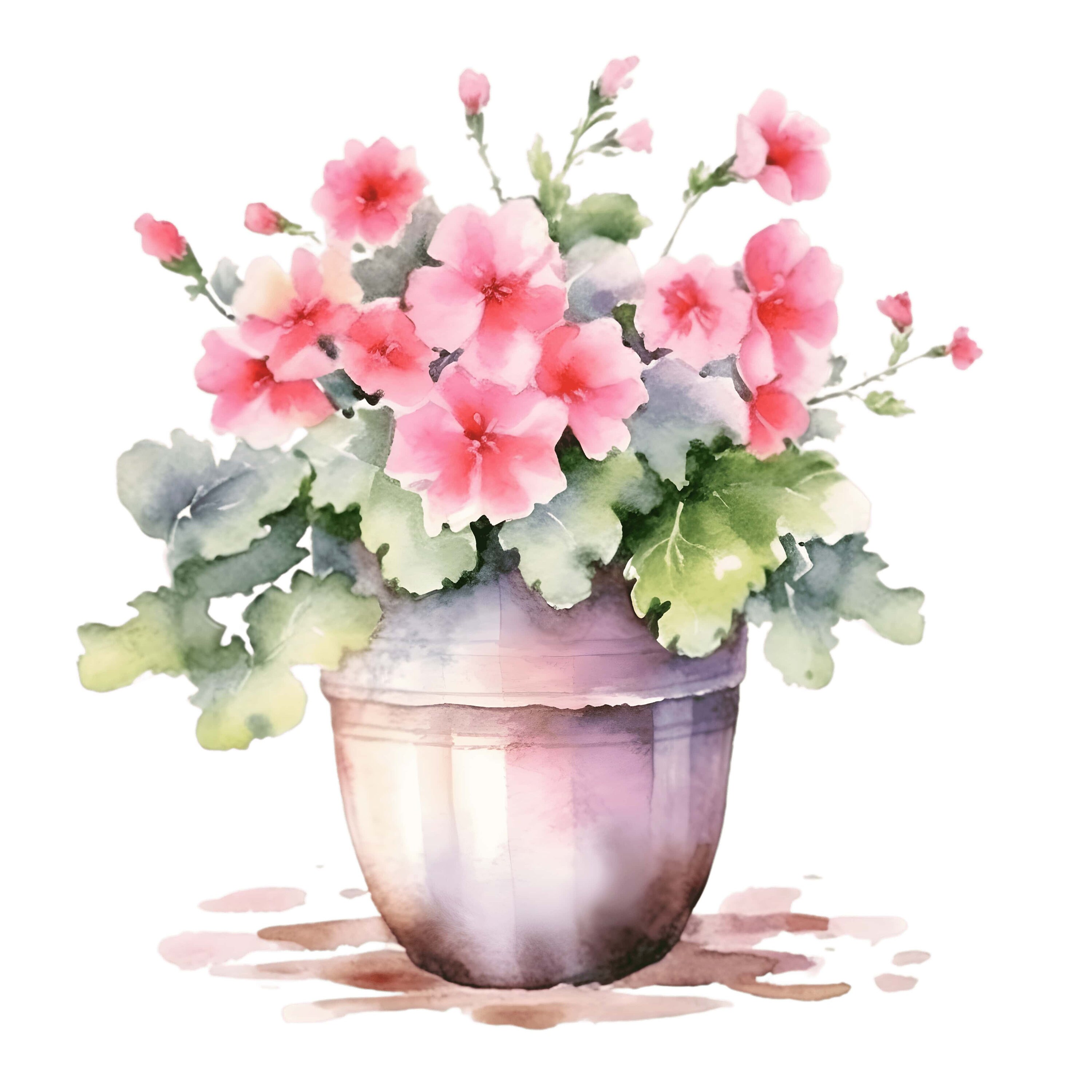 Flower Pot Watercolor Clip Art Bundle 20 High-quality PNG Files Instant ...
