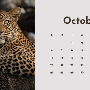 2024 Wildlife Leopard Calendar - Etsy