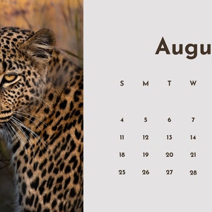2024 Wildlife Leopard Calendar - Etsy