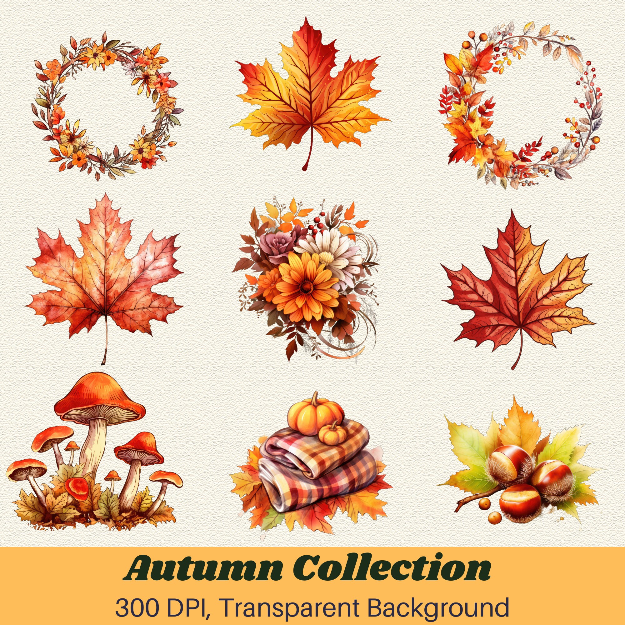 Autumn Collection Fall Harvest Clipart Bundle 40 PNG Fall - Etsy