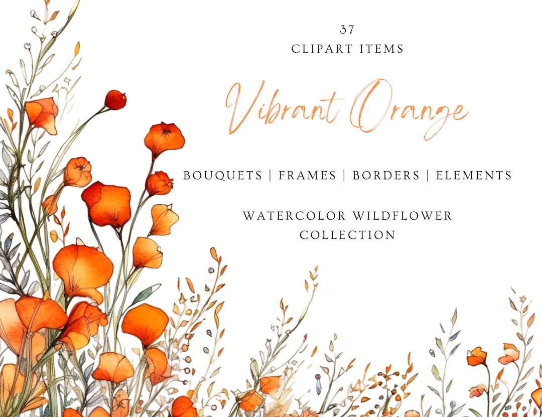 Vibrant Orange Watercolor Floral Clipart Floral Borders Wild Flowers ...