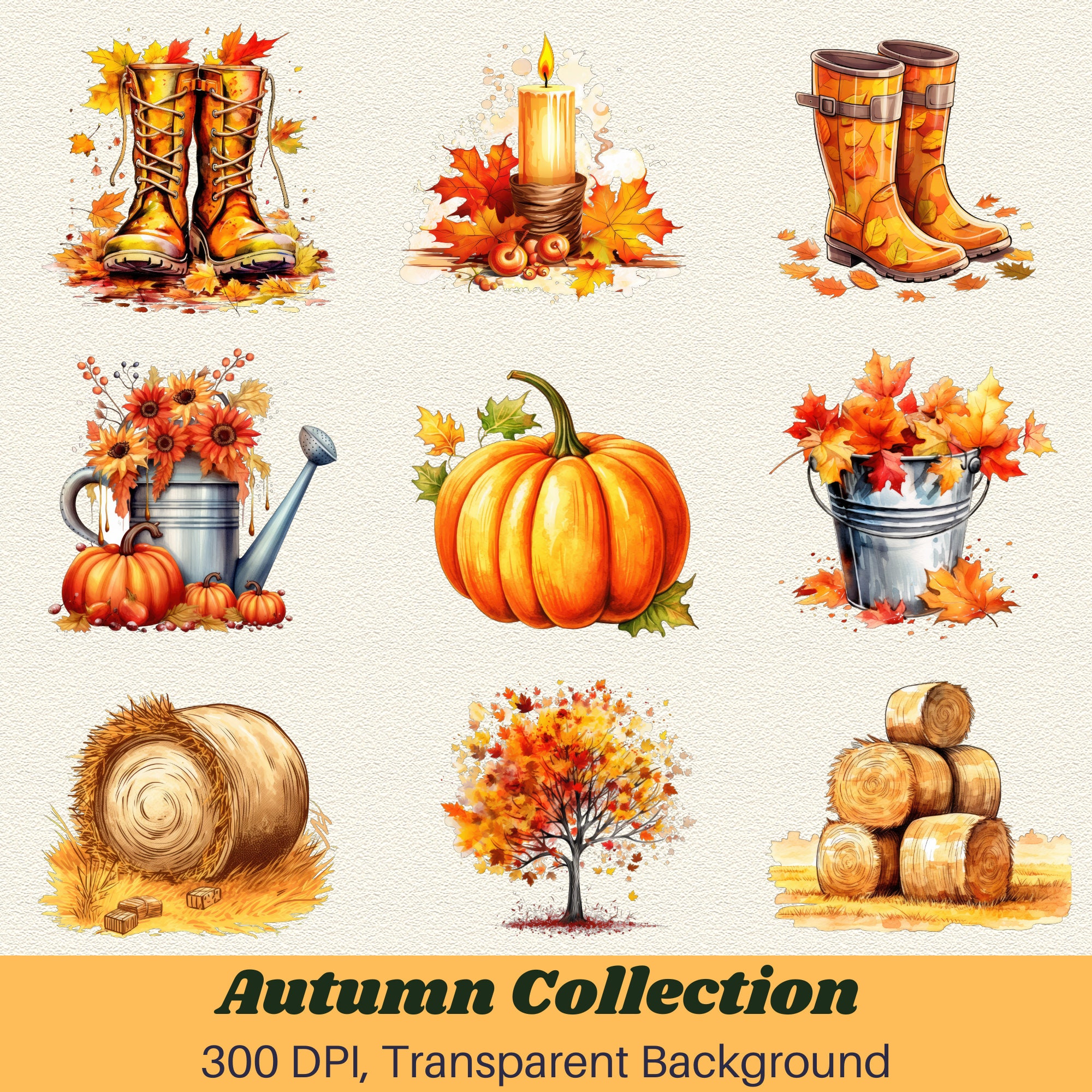 Autumn Collection Fall Harvest Clipart Bundle 40 PNG Fall - Etsy