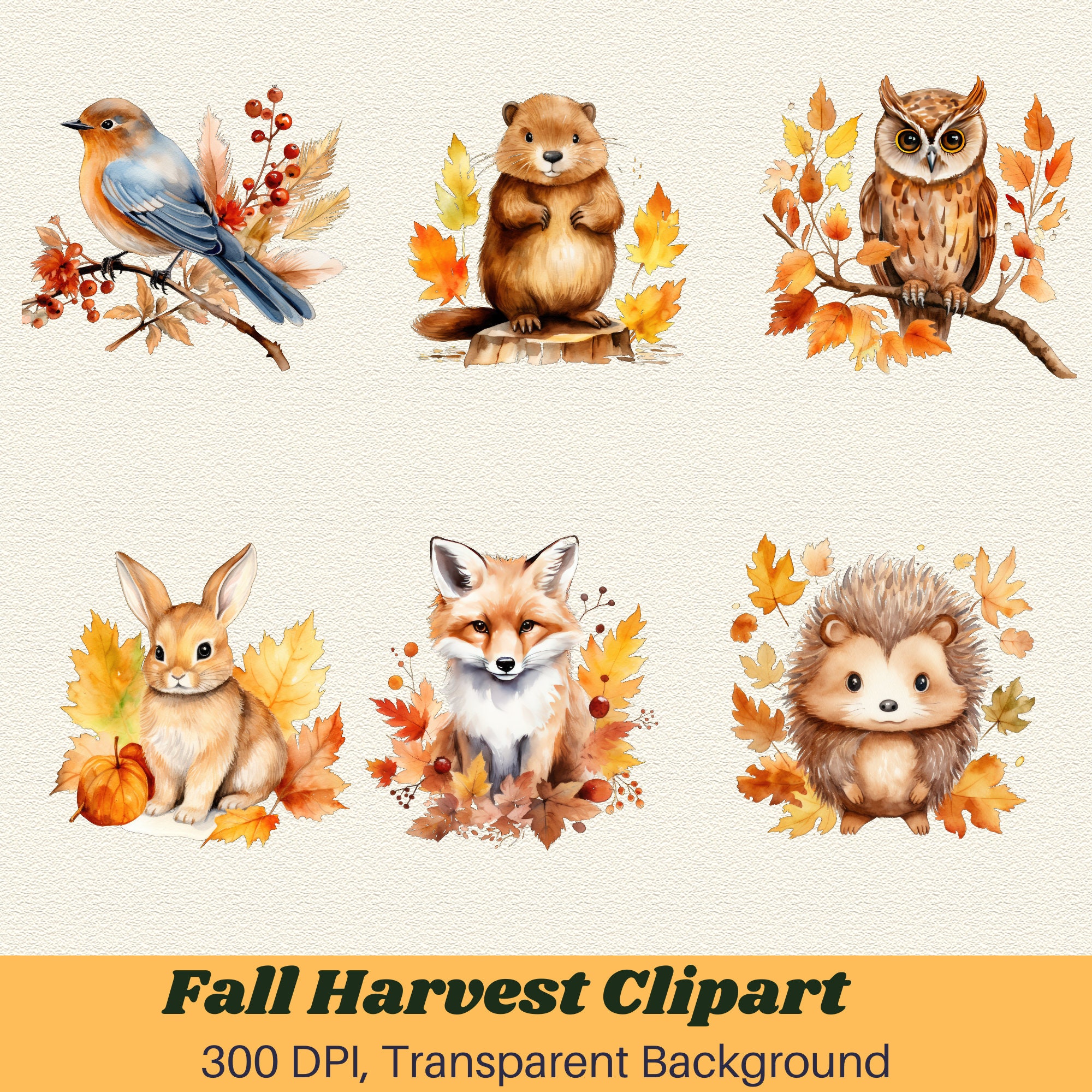 Fall Harvest Clipart Bundle Autumn Collection 70 PNG Fall Collection ...