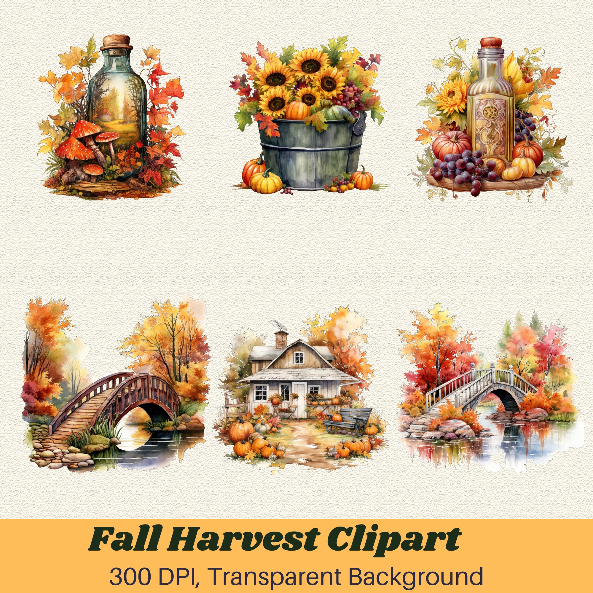 Fall Harvest Clipart Bundle Autumn Collection 70 PNG Fall Collection ...
