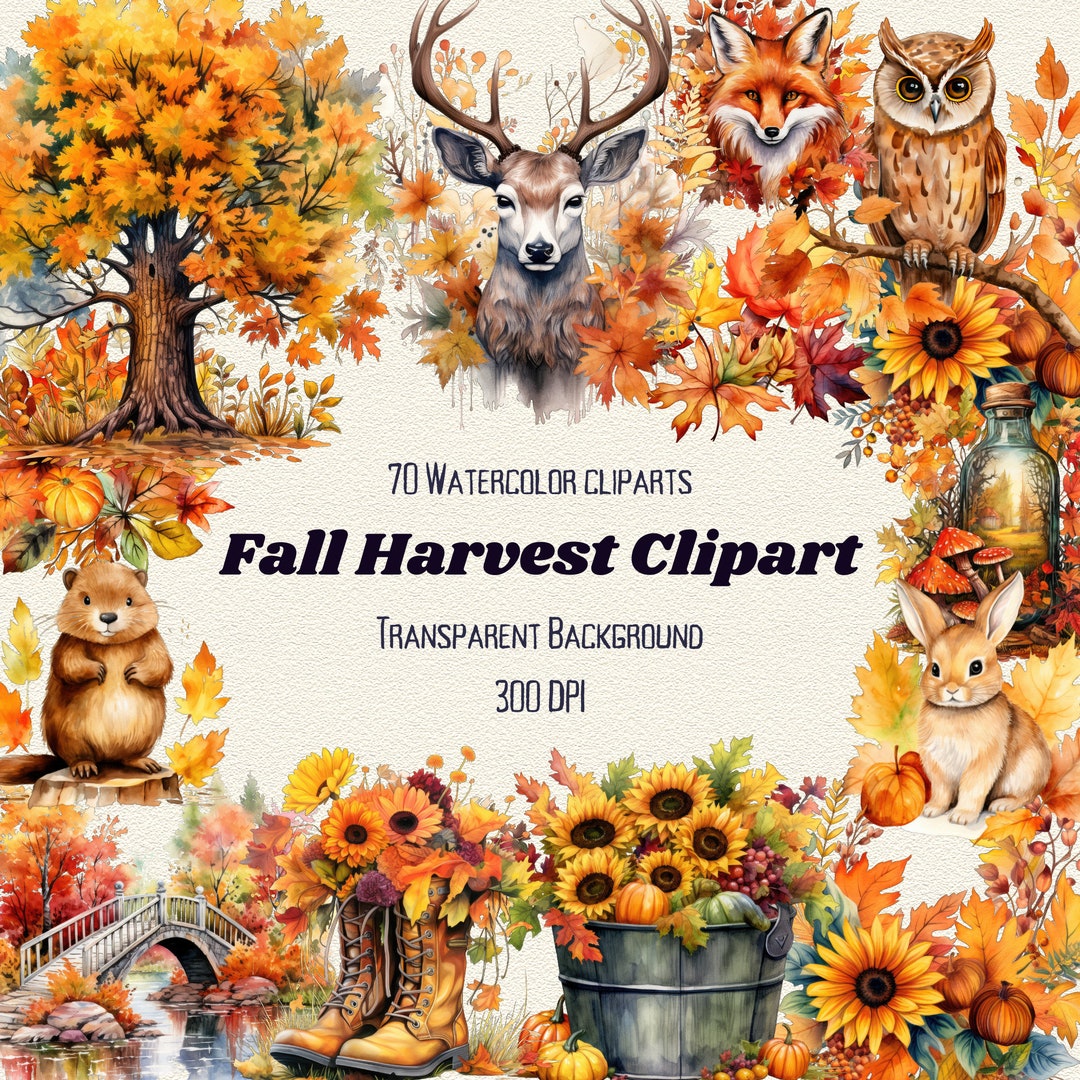 Fall Harvest Clipart Bundle Autumn Collection 70 PNG Fall Collection ...