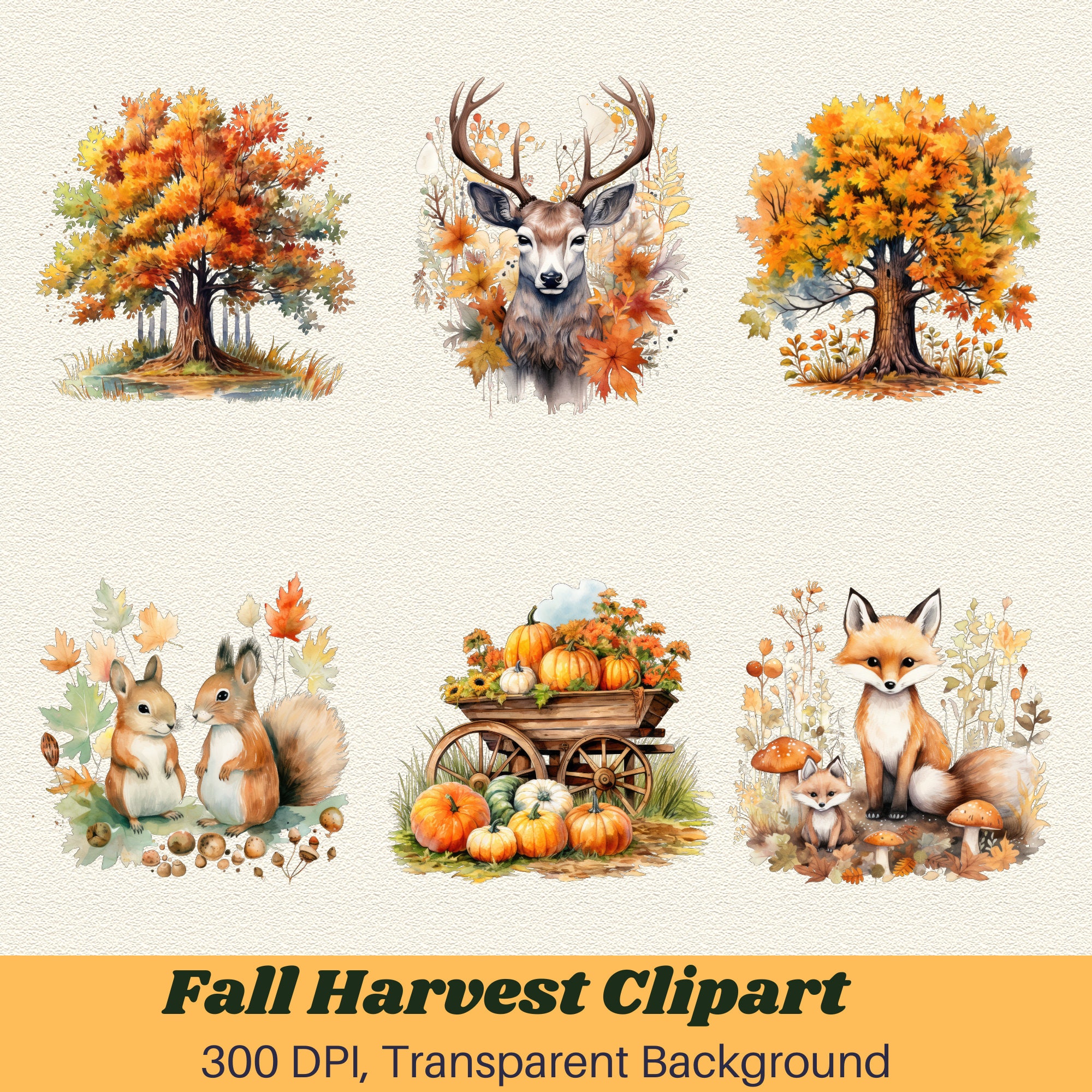 Fall Harvest Clipart Bundle Autumn Collection 70 PNG Fall Collection ...