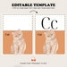 Classroom Alphabet Posters, Animal Alphabet, Boho Rainbow, Kindergarten ...
