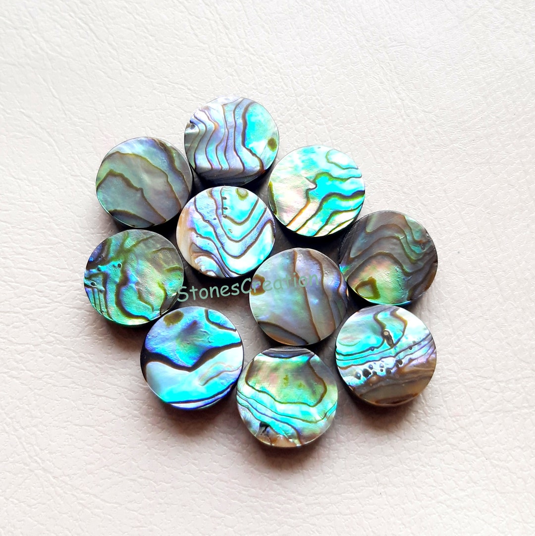 Abalone Shell Calibrated Round Shape Cabochon With Flat Back 10 Pieces ...