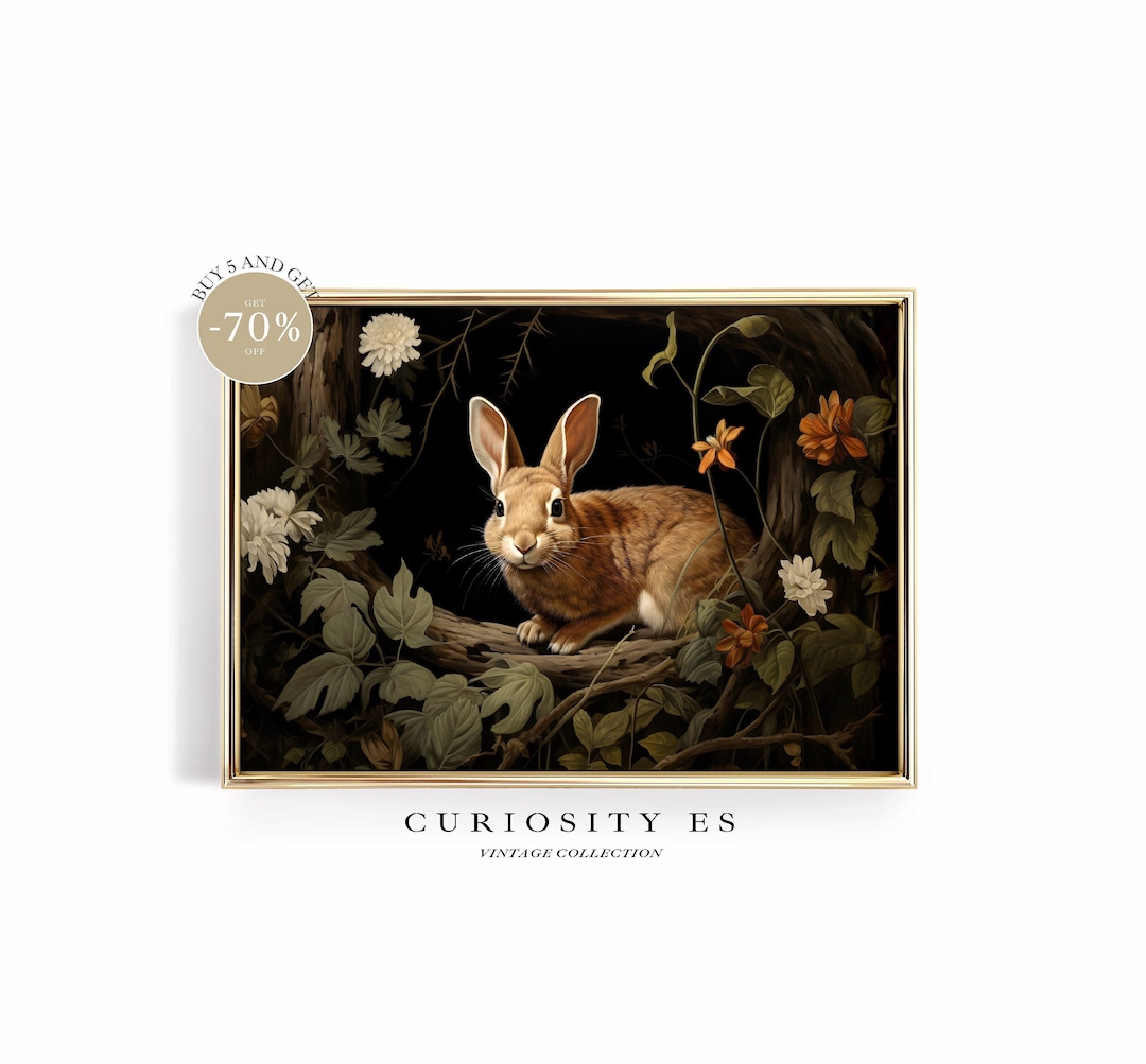 Vintage Rabbit Print,antique Nursery Wall Decor,printable,vintage ...