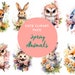 24 Cute Spring Animal Clipart Images | PNG Clipart | Transparent ...