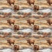 Highland Cow Seamless Digital Papers | Repeatable Digital Patterns ...