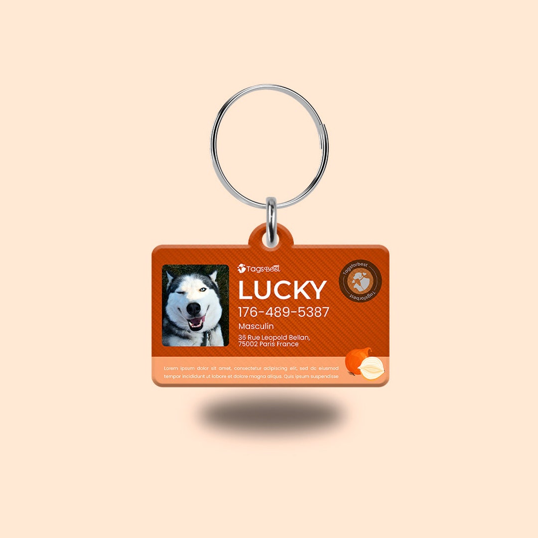 Identification Medal for Dog and Cat, Onion Style Medal, Rectangular ...
