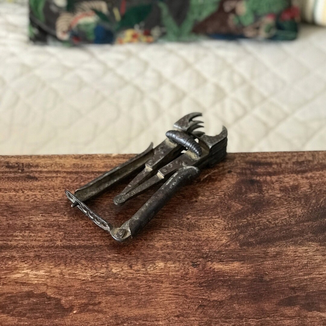 Old Aliès Grafting Pliers - Plug Grafting Technique - Etsy