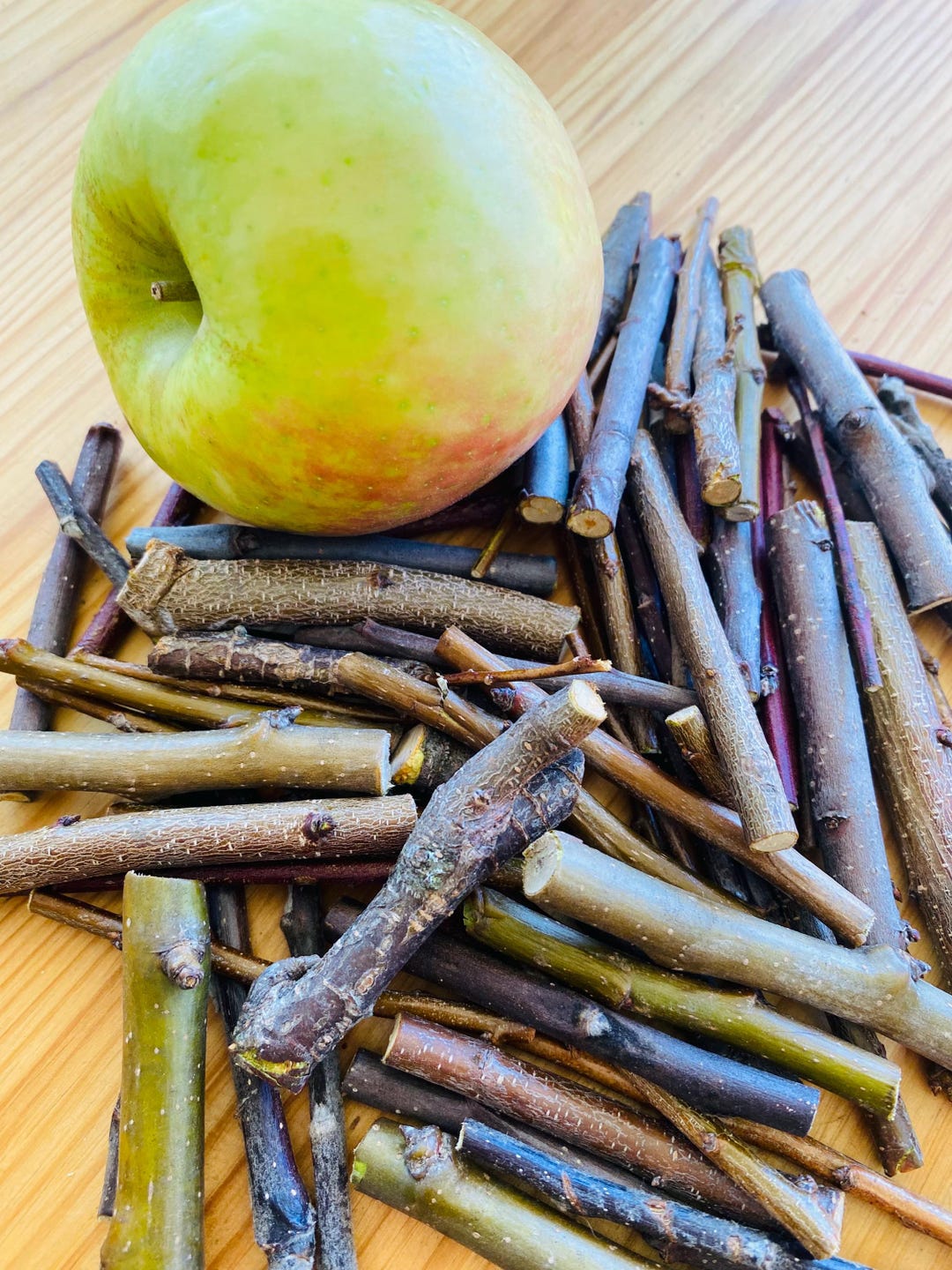 Apple Fruit Sticks, Chew Sticks, Rabbit Chew Sticks, Gerbil, Guinea ...