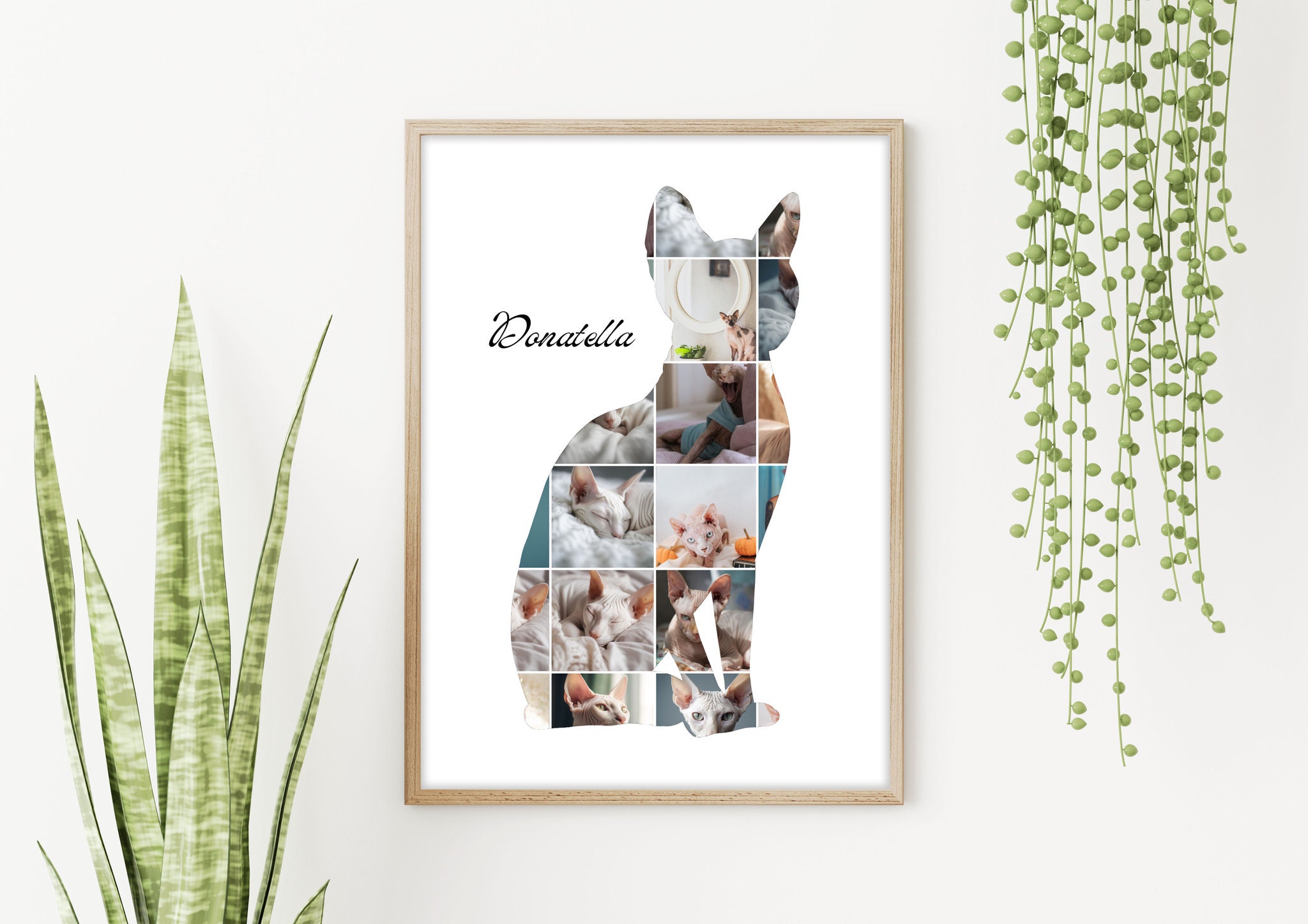 Custom Cat Photo Collage Pet Owner Gift Cat Loss Memory Cat Digital ...