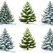 Snowy Christmas Tree Clipart Bundle | 15 Winter Trees PNG Clipart ...