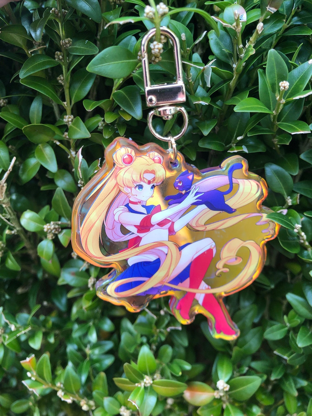 Sailor Moon and Luna Rainbow Acrylic Charm 3 X 3 Inch Charm With Gold ...