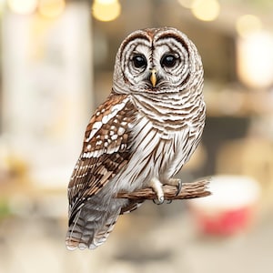 Barred Owl Window Cling Sticker Decal Window Film Gift for Bird Lovers ...